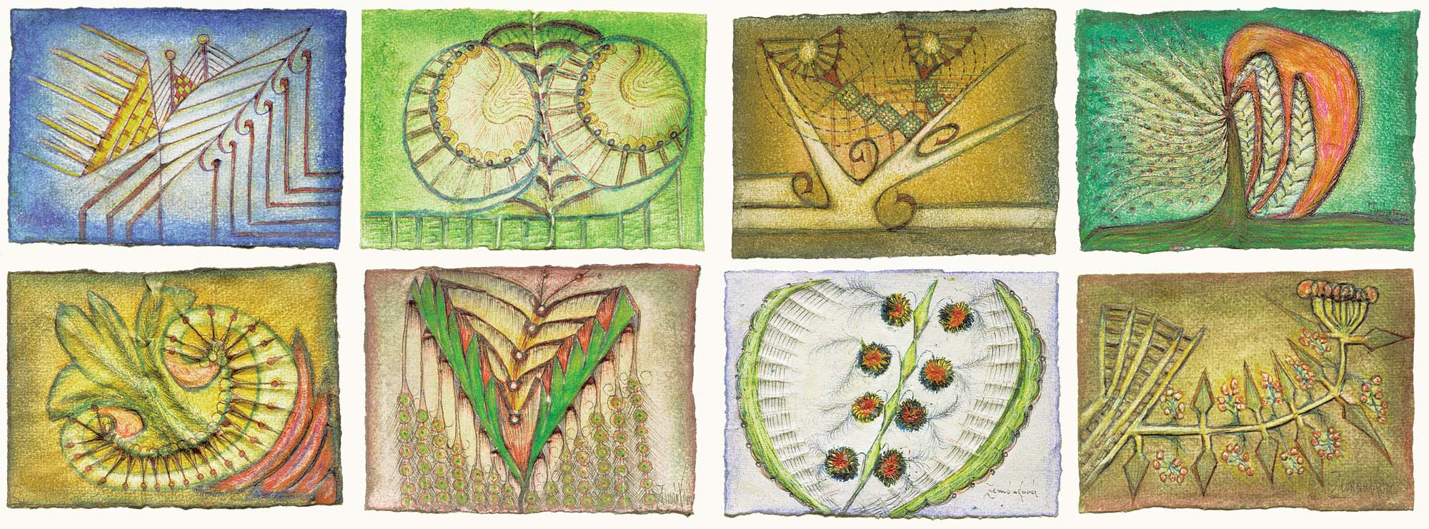 ZEMANKOVA anna - abcd Art Brut